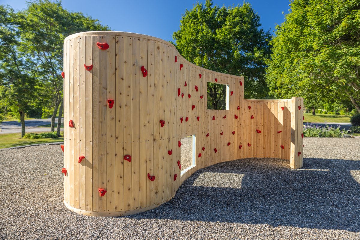 Curved Climbers Playsets Gallery | CedarWorks Playsets