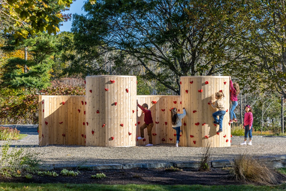 Curved Climbers Playsets Gallery | CedarWorks Playsets