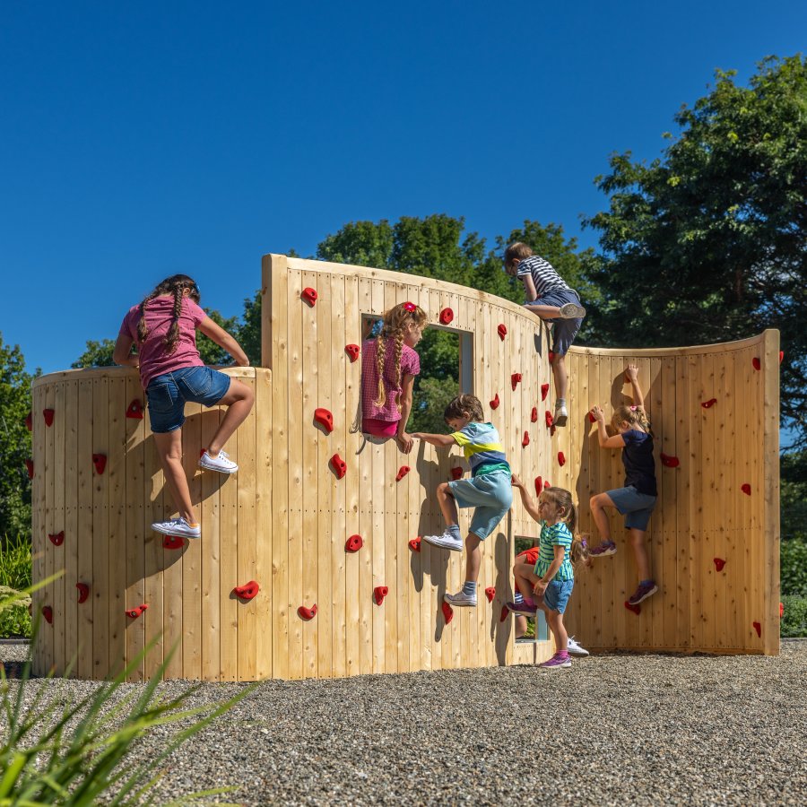 Curved Climbers Playsets Gallery | CedarWorks Playsets