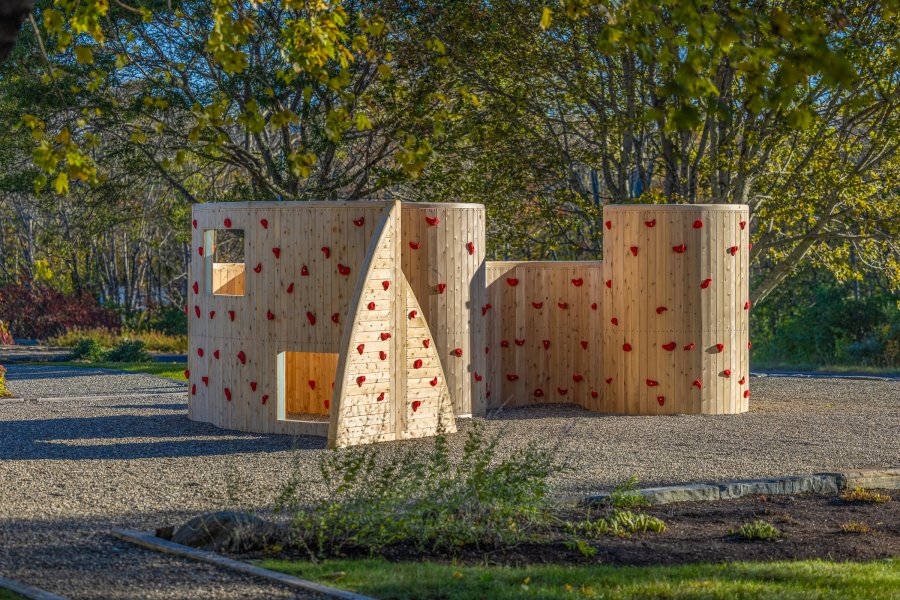 Curved Climbers Playsets Gallery | CedarWorks Playsets
