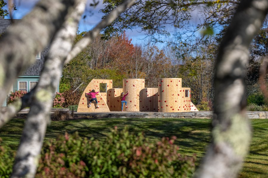 Curved Climbers Playsets Gallery | CedarWorks Playsets