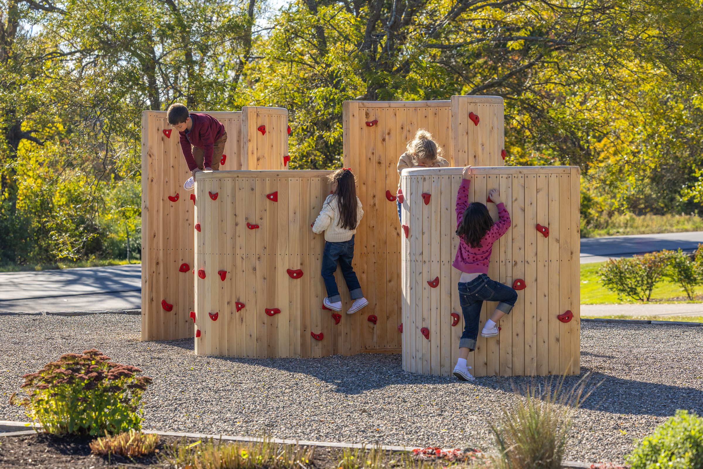 Curved Climber 3674 | CedarWorks Playsets